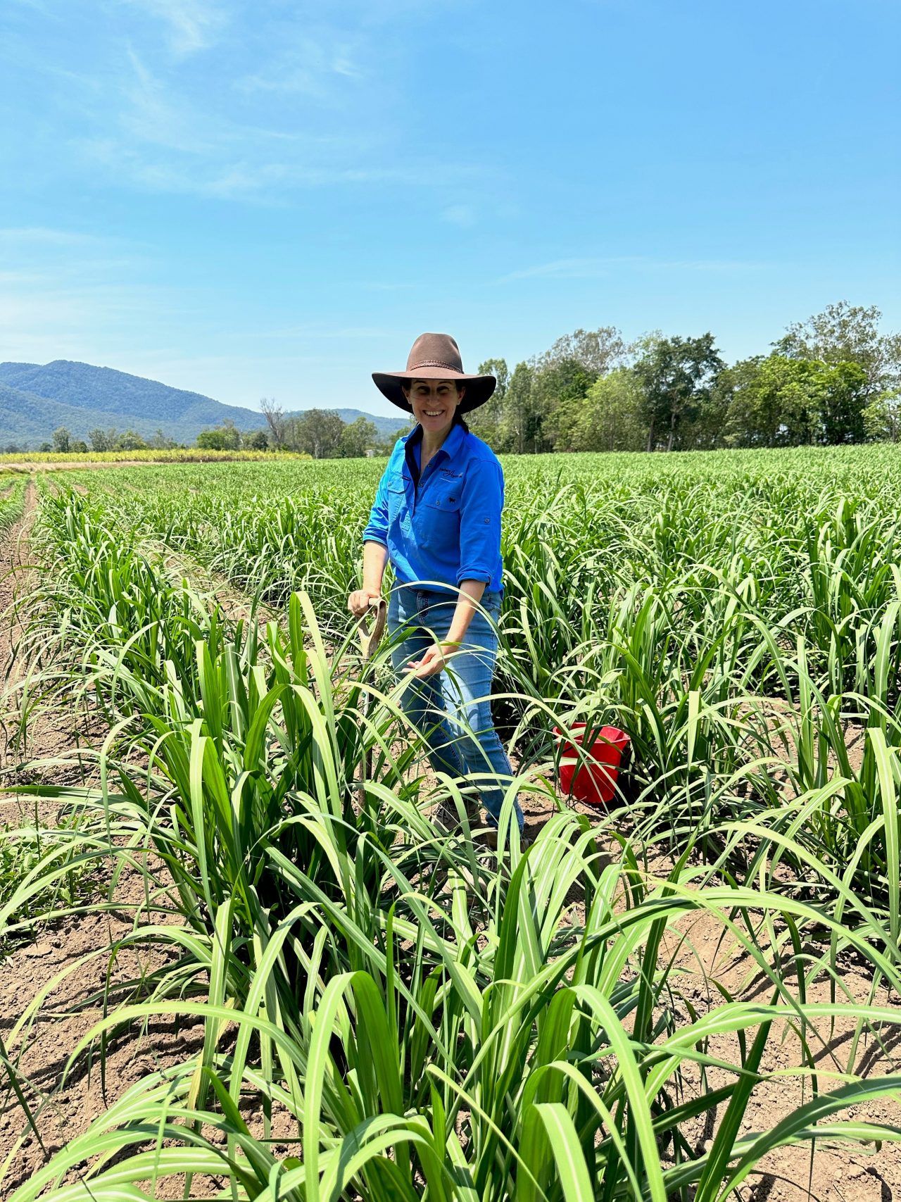 Positive Relationships are the key to adopting new practice changes in ...